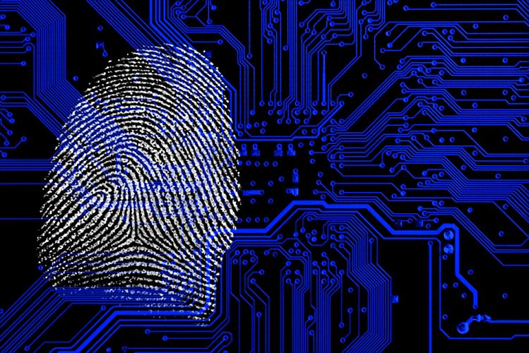 KWSnet Computer Forensics Electronic Evidence Data Recovery Index